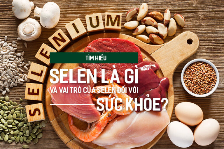 Tìm hiểu Selen là gì và vai trò của Selen đối với sức khỏe? | PlansbyAnh