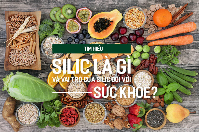 Tìm hiểu Silic là gì và vai trò của Silic đối với sức khỏe? | PlansbyAnh