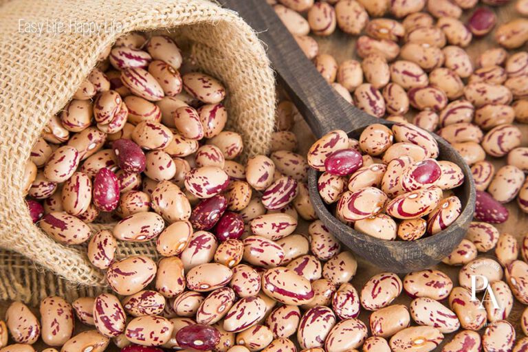 Tổng hợp các cây họ đậu cực tốt cho sức khỏe nên bổ sung hàng ngày